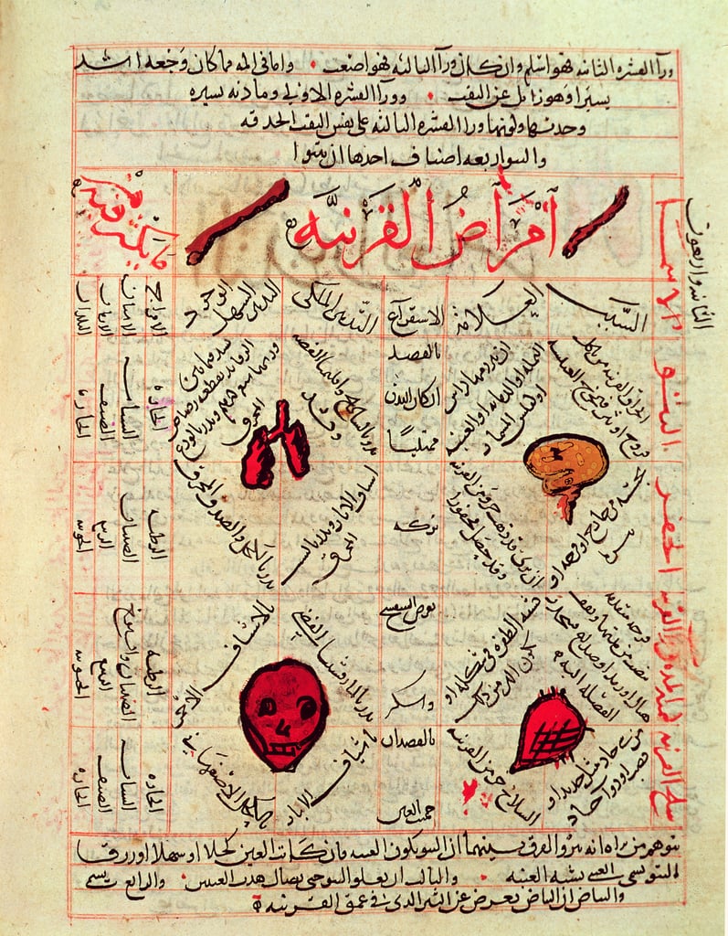 Page from the Canon of Medicine by Avicenna (Ibn Sina) (980-1037)